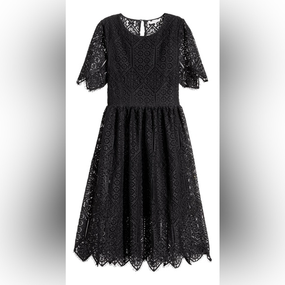 H&M | Dresses | Hm Black Lace Midi Cocktail Dress | Poshmark